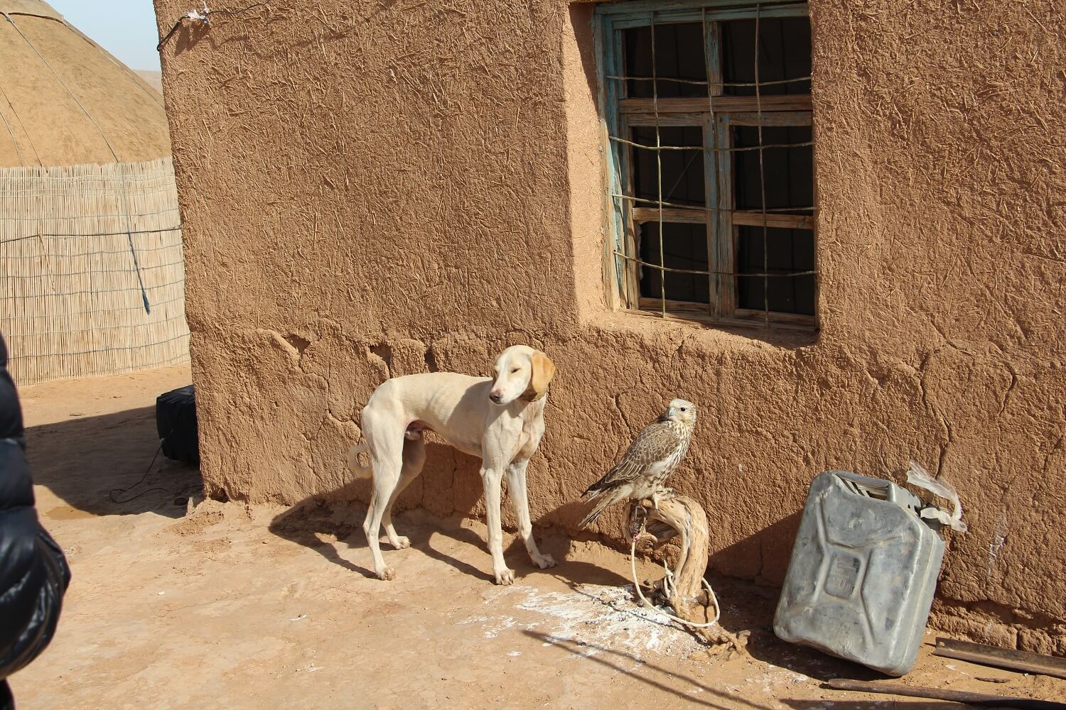 Best of Turkmenistan Tour - Kalpak Travel